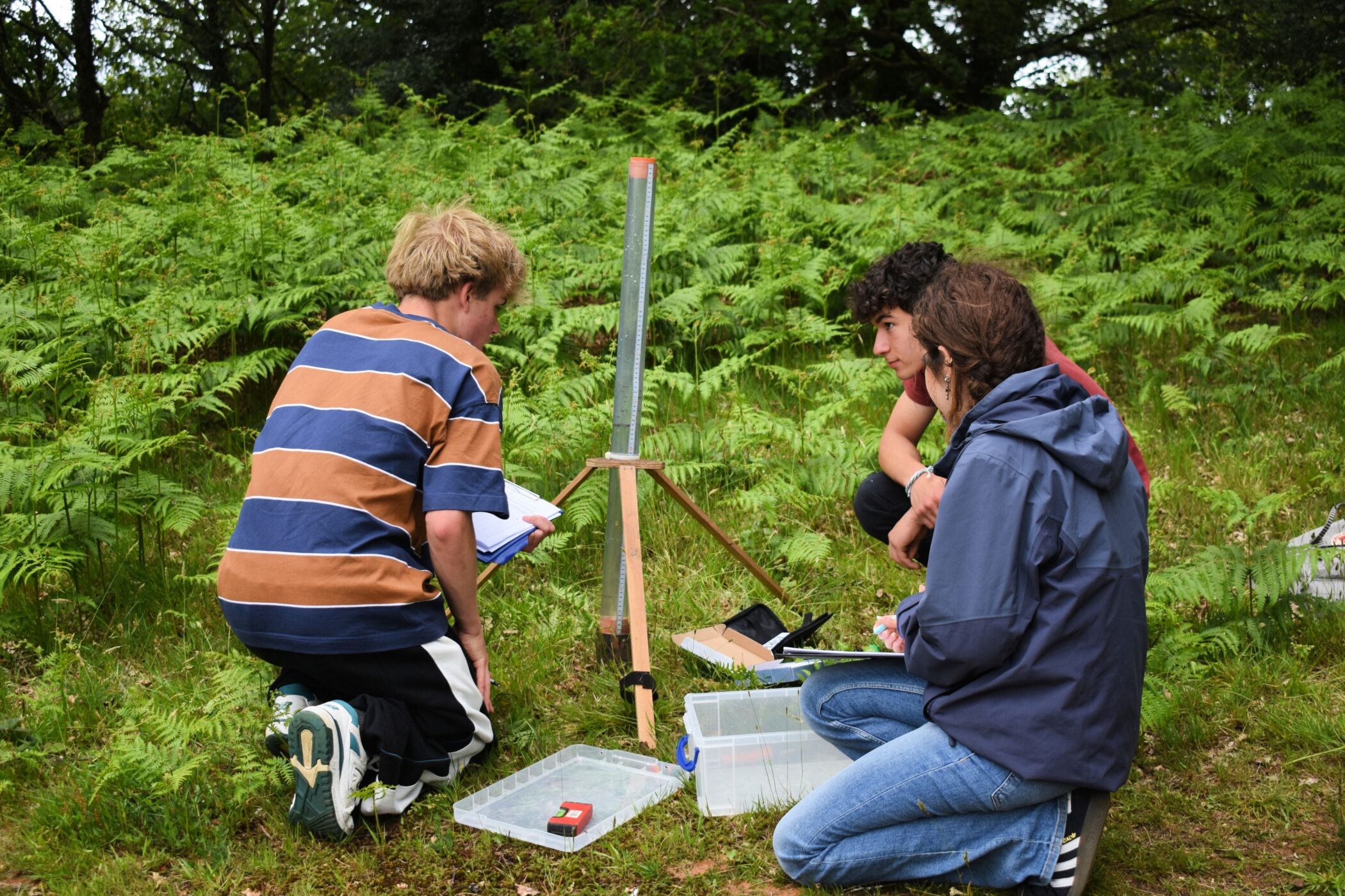 From woodland to waterfront: Lower Sixth fieldwork in the North West ...